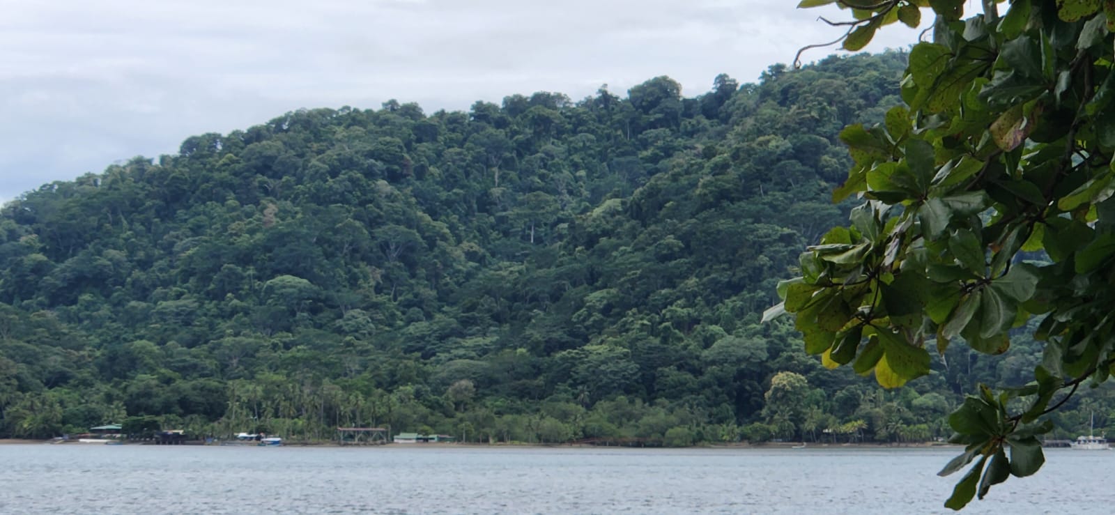 Golfito en imágenes